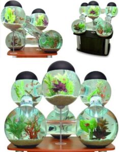 Coolest Fish Tanks And Aquariums