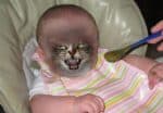 The Internet - The Dumping Ground For Cat And Baby Photos - Unfinished Man