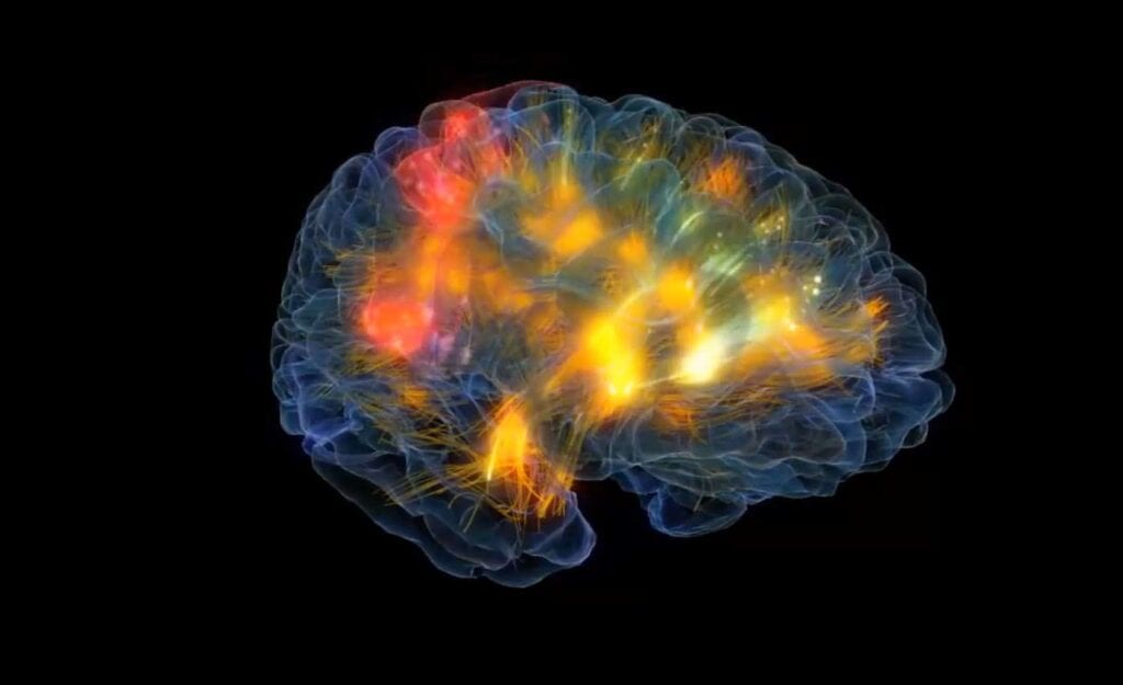 Glass Brain -- Real-Time Brain Visualization In Unity3D