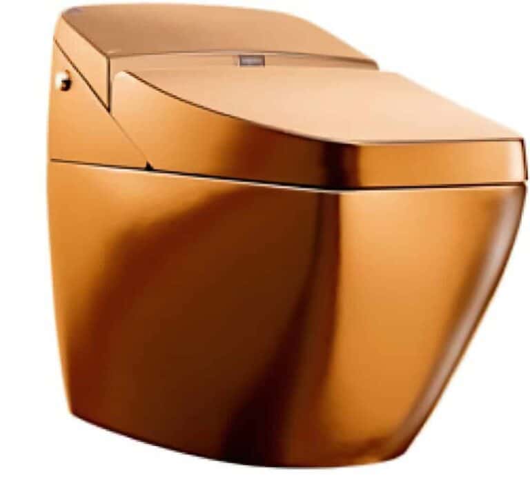 Poop Like A King - Gold Plated Toilet Unveiled