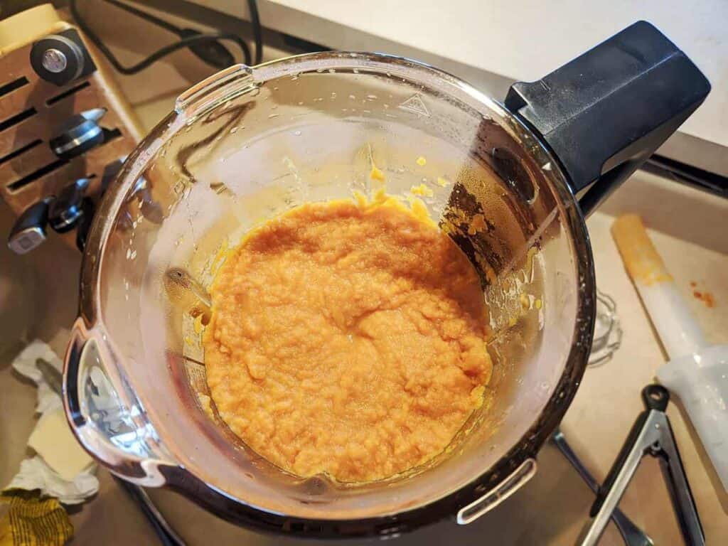 Reviewing The Instant Ace Nova Blender