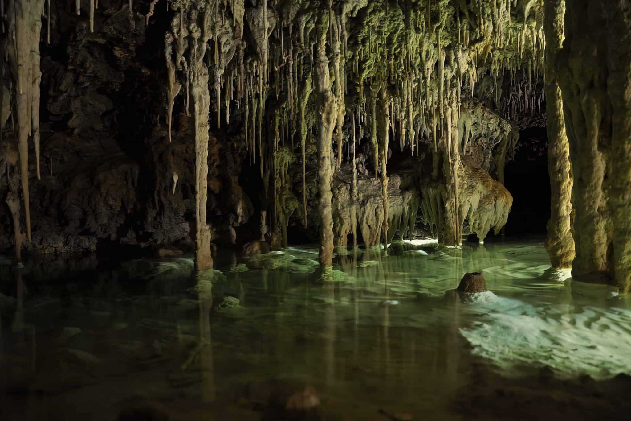 Exploring Underground Sinkholes (Cenotes) In The Riviera Maya, Mexico