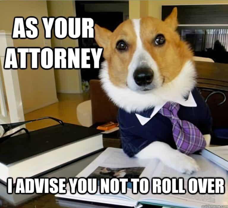 Laugh It Up: 18 Of The Funniest Lawyer Memes On The Internet