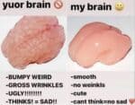 The Smooth Brain Meme: Everything You Need To Know