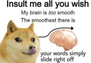 The Smooth Brain Meme: Everything You Need To Know