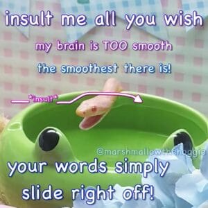 The Smooth Brain Meme: Everything You Need To Know