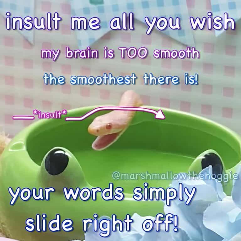 The Smooth Brain Meme: Everything You Need To Know