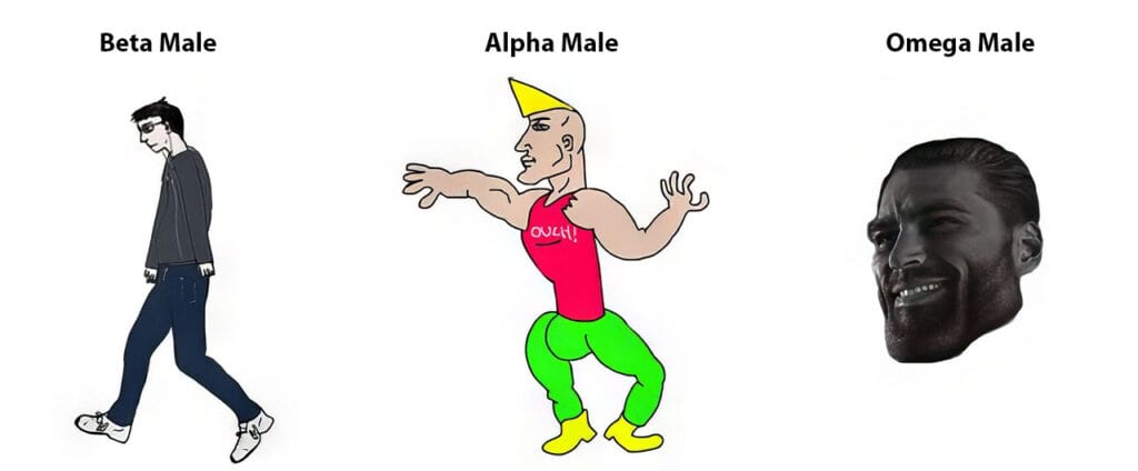Am I An Alpha Or Beta Male? Decoding The Traits And Characteristics