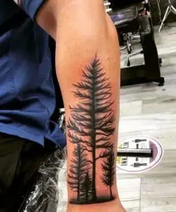 The Ultimate Guide To Tree Tattoos For Men: Meaning, Symbolism, And ...