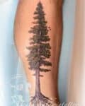 The Ultimate Guide To Tree Tattoos For Men: Meaning, Symbolism, And ...