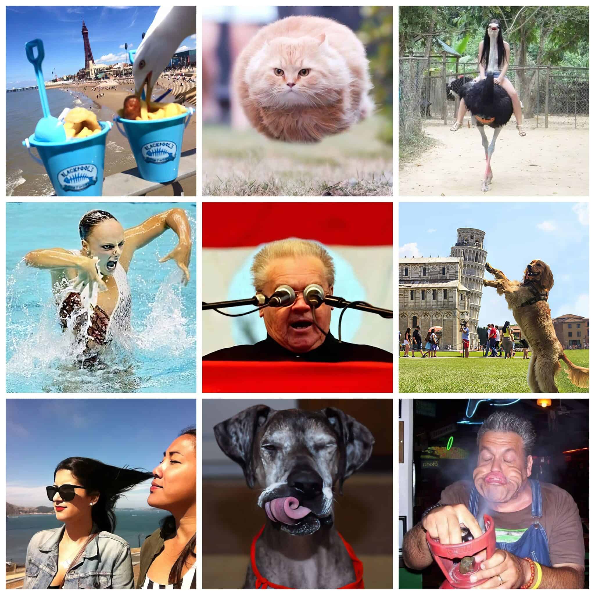 Epic Perfectly Timed Photos: 231 Jaw-Dropping Moments Await