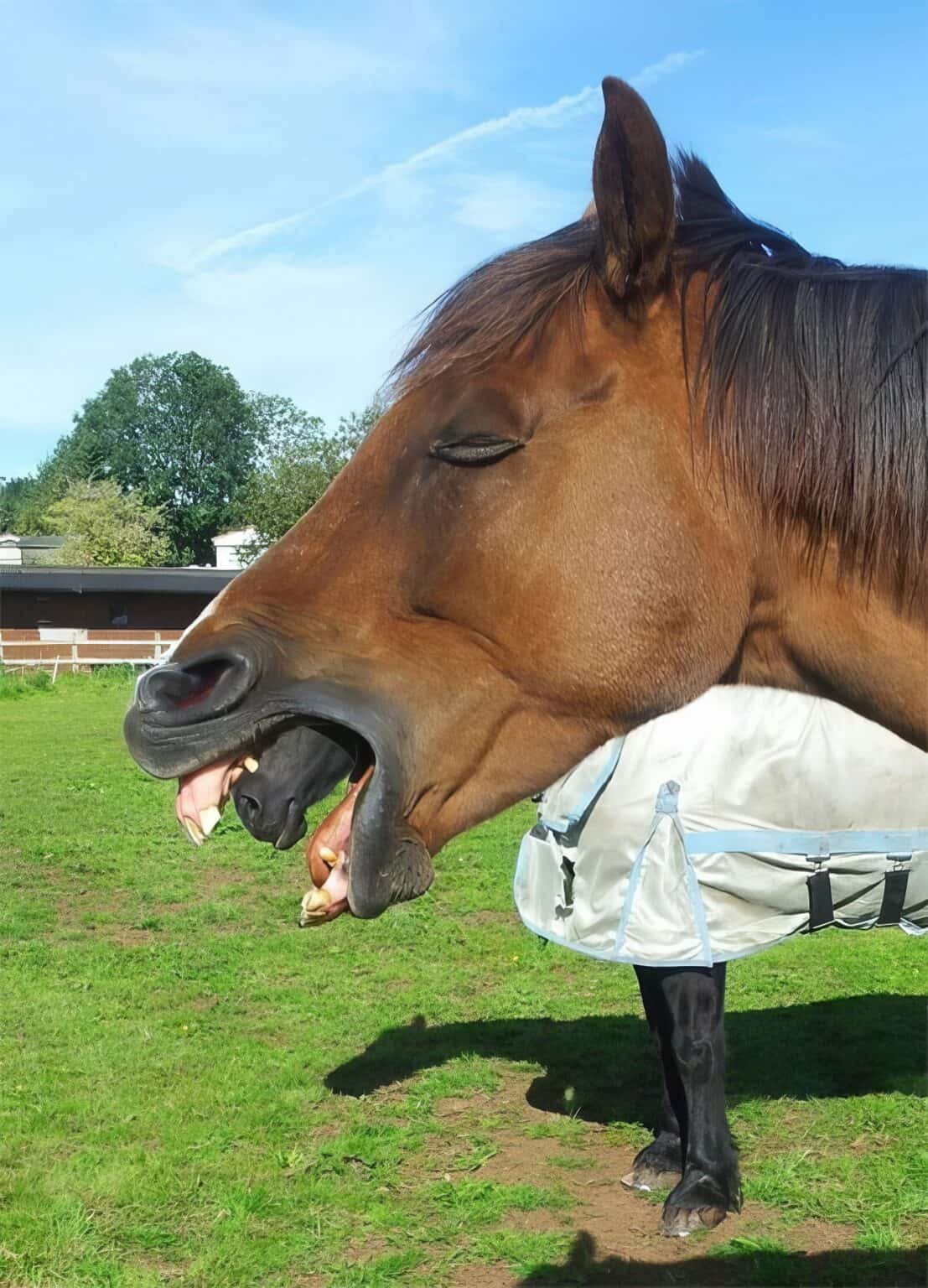Epic Perfectly Timed Photos: 231 Jaw-Dropping Moments Await