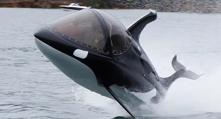 Weirdest Boats Ahoy: 9 Odd Yet Genius Designs You Must See