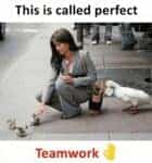 Top 60 Memes About Teamwork: Hilarious Gems To Boost Team Morale