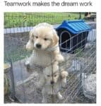 Top 60 Memes About Teamwork: Hilarious Gems To Boost Team Morale