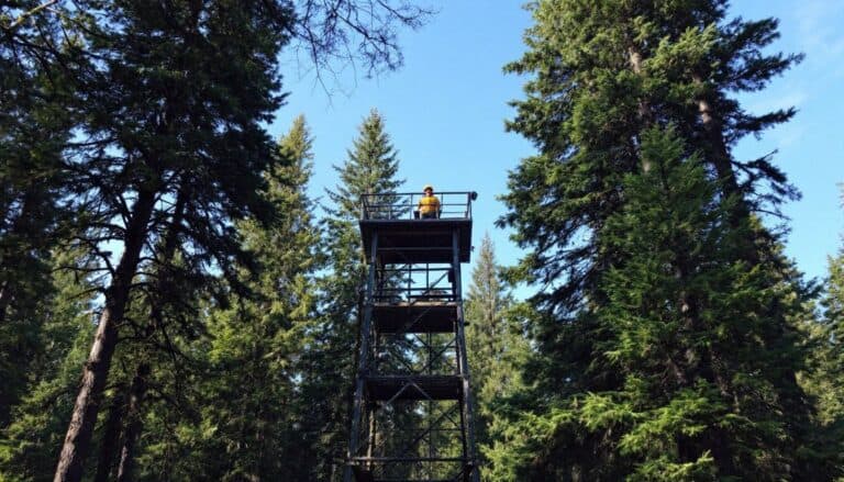 What Does A Firewatch Do? 5 Crucial Roles For Saving Lives