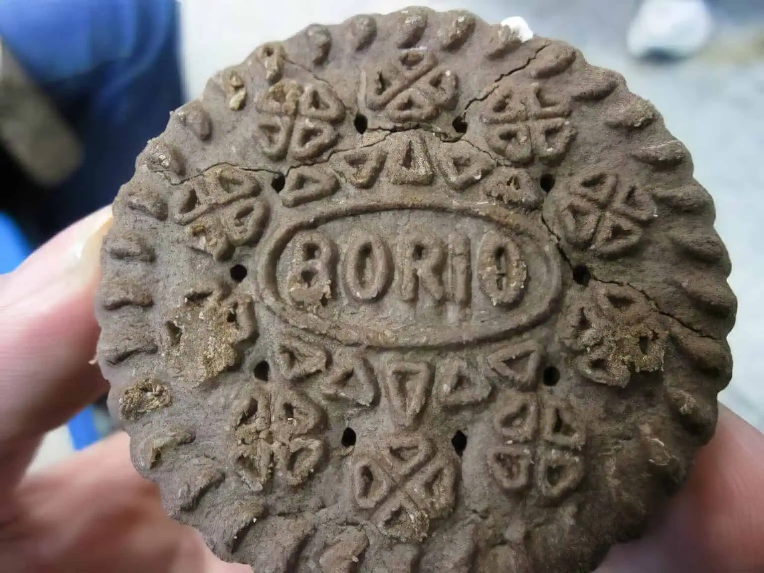 Funny Knock Off Brands: 40+ Hilarious Fails You Won't Believe