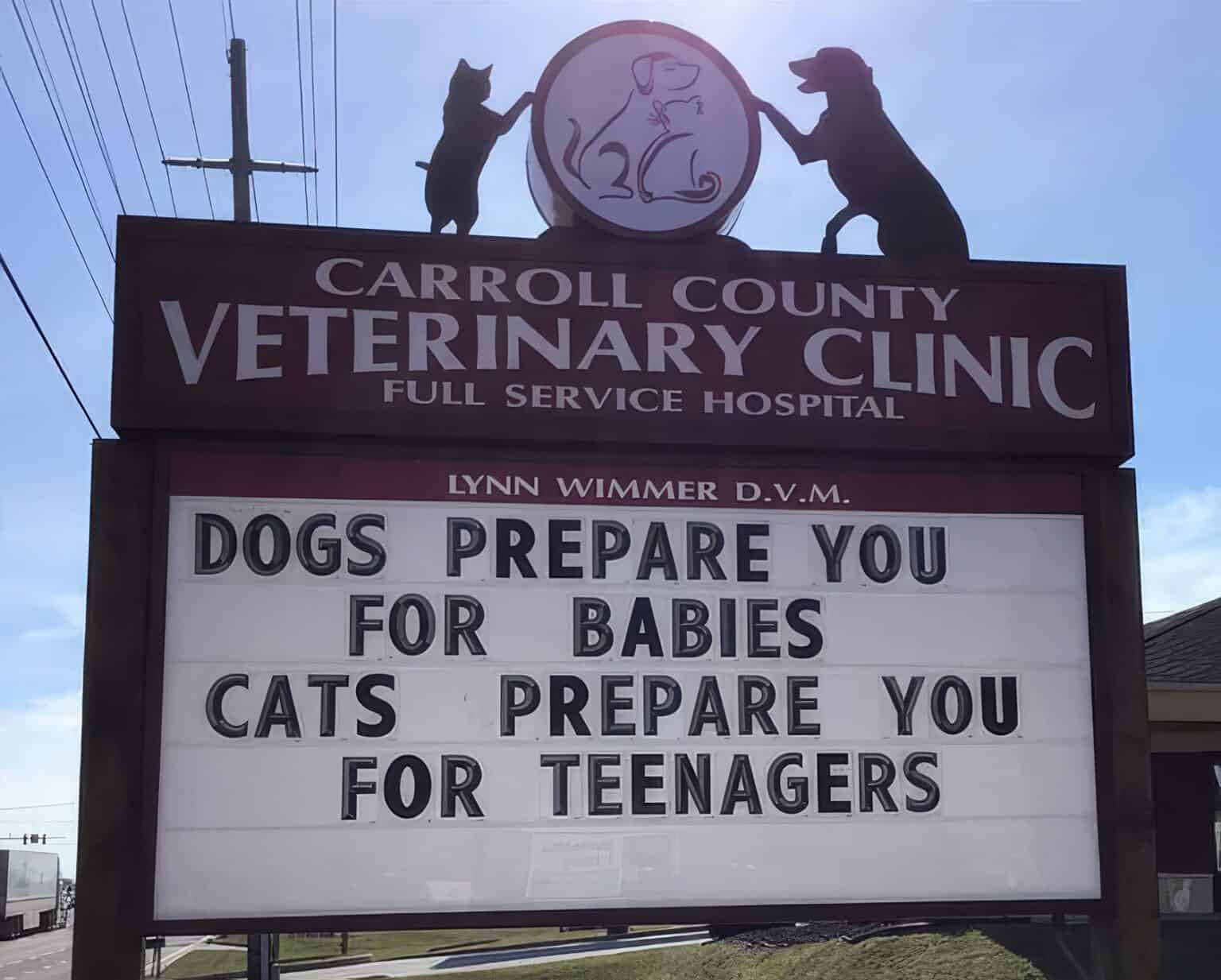 100+ Funny Business Signs That Guarantee A Laugh (2025 Edition)
