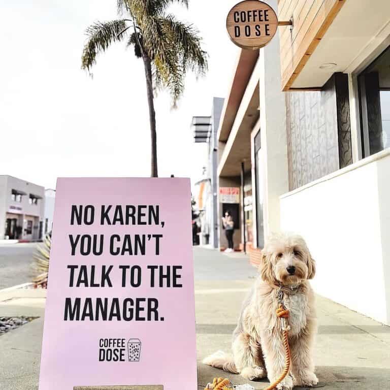 100+ Funny Business Signs That Guarantee A Laugh (2025 Edition)