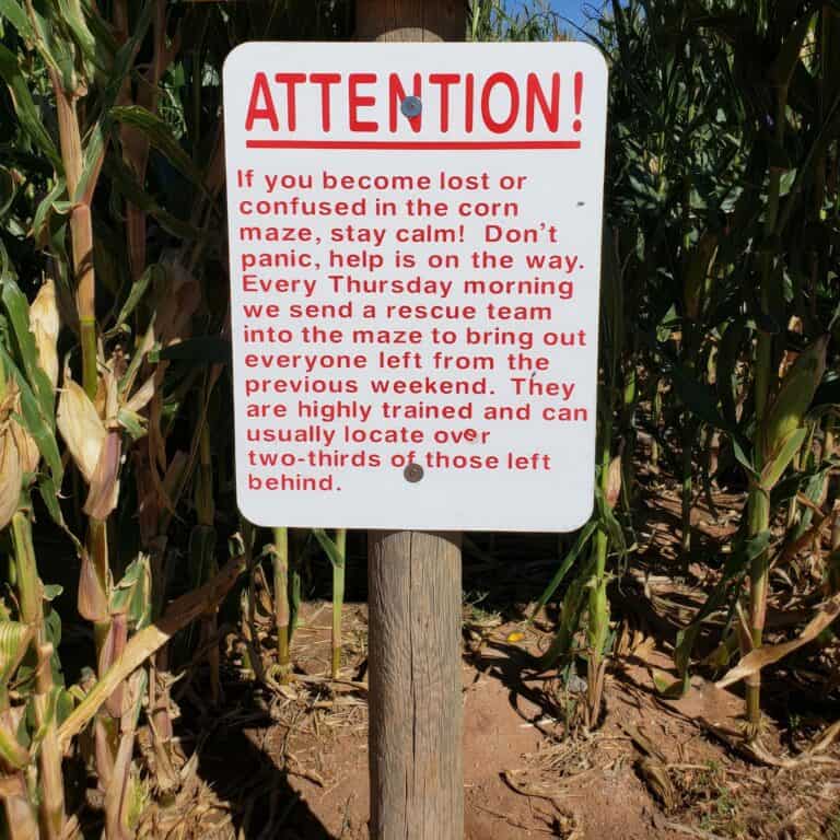 100+ Funny Business Signs That Guarantee A Laugh (2025 Edition)