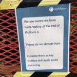 100+ Funny Business Signs That Guarantee A Laugh (2025 Edition)