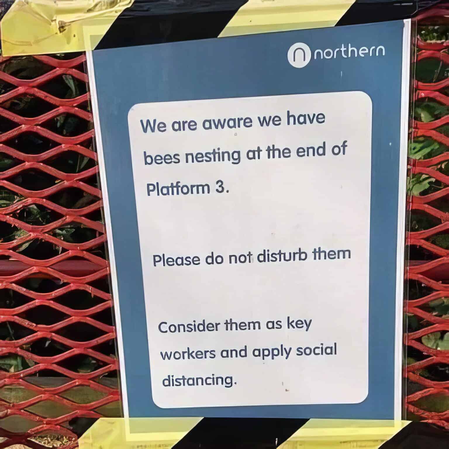 100+ Funny Business Signs That Guarantee A Laugh (2025 Edition)