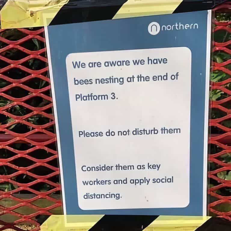 100+ Funny Business Signs That Guarantee A Laugh (2025 Edition)